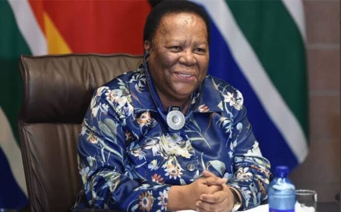 Naledi Pandor Biography: Age, Husband, Career & Net Worth - Wiki SA