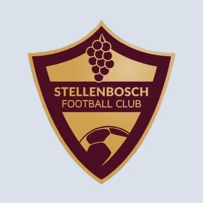 Stellenbosch First Team Squad 2024/2025 - Wiki South Africa